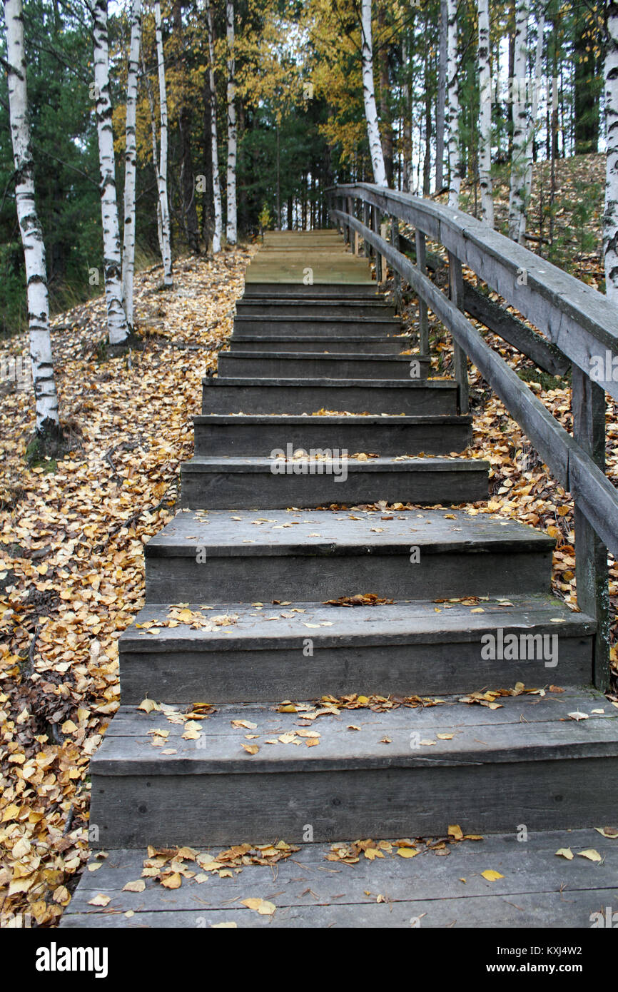 Wooden staircase and yellow leaves, autumn in Russia Stock Photo - Alamy