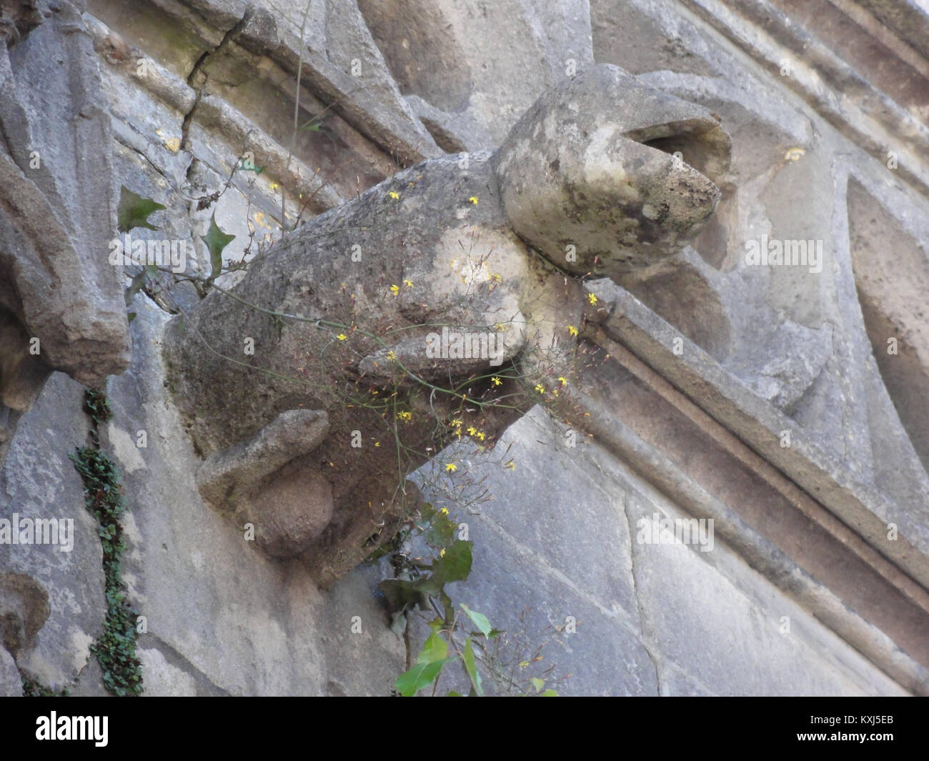 Ancerville (Meuse) église (07) gargouille Stock Photo - Alamy