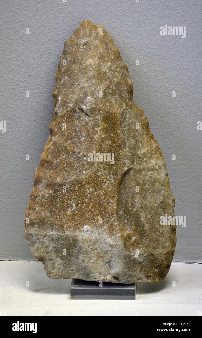 This image depicts an Acheulean biface, a prehistoric tool displayed at ...