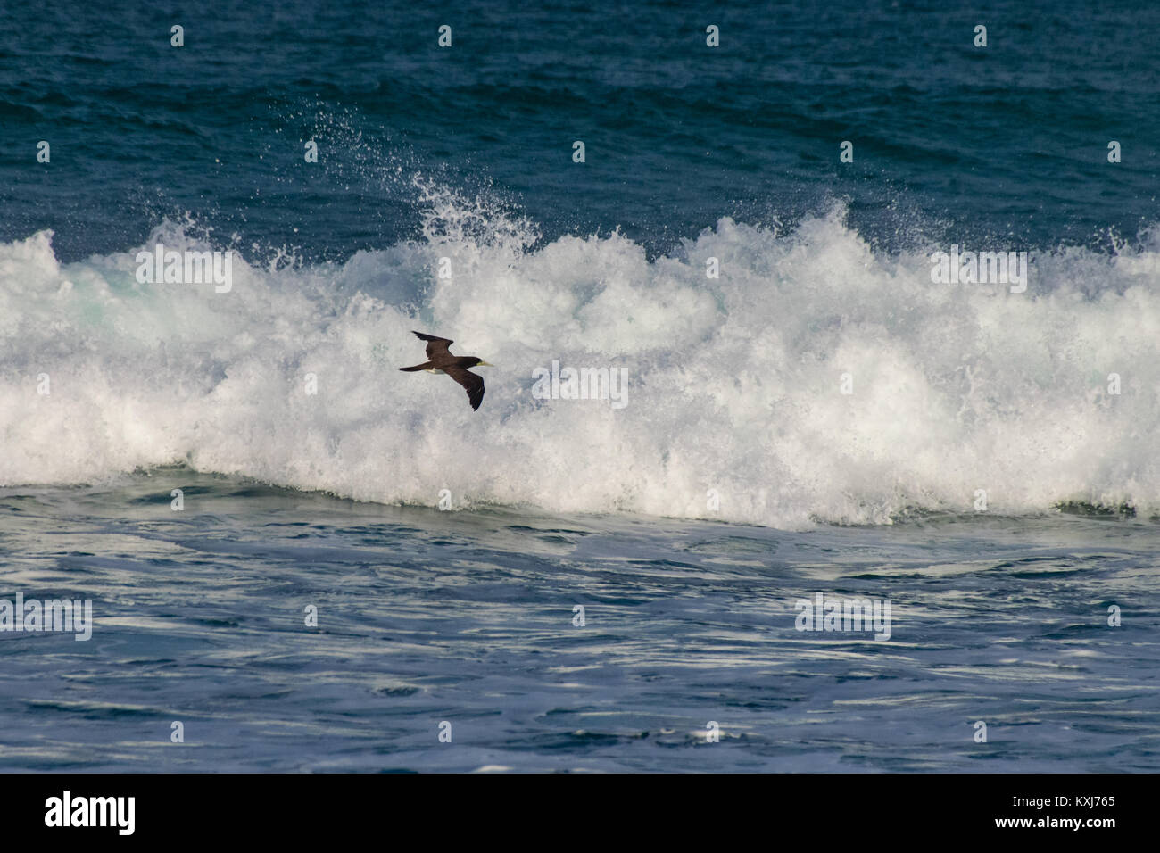 Flying over ocean waves breaking hi-res stock photography and images ...