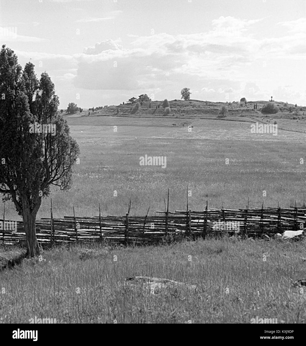 Birka burial hi-res stock photography and images - Alamy