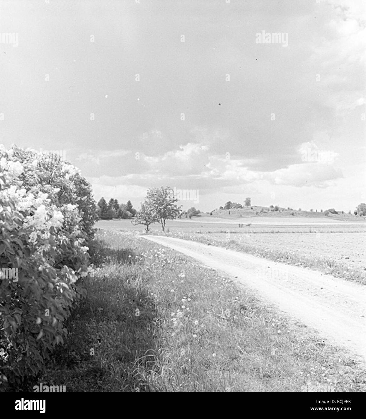 Birka sweden Black and White Stock Photos & Images - Alamy