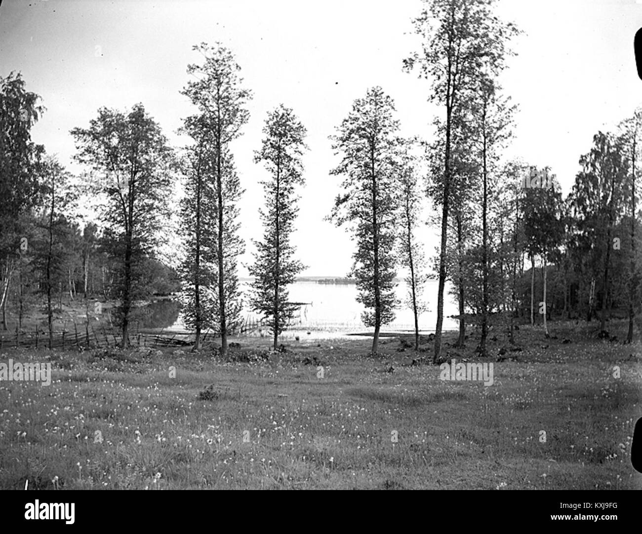 This image shows a representation of the site Birka in Sweden, focusing ...