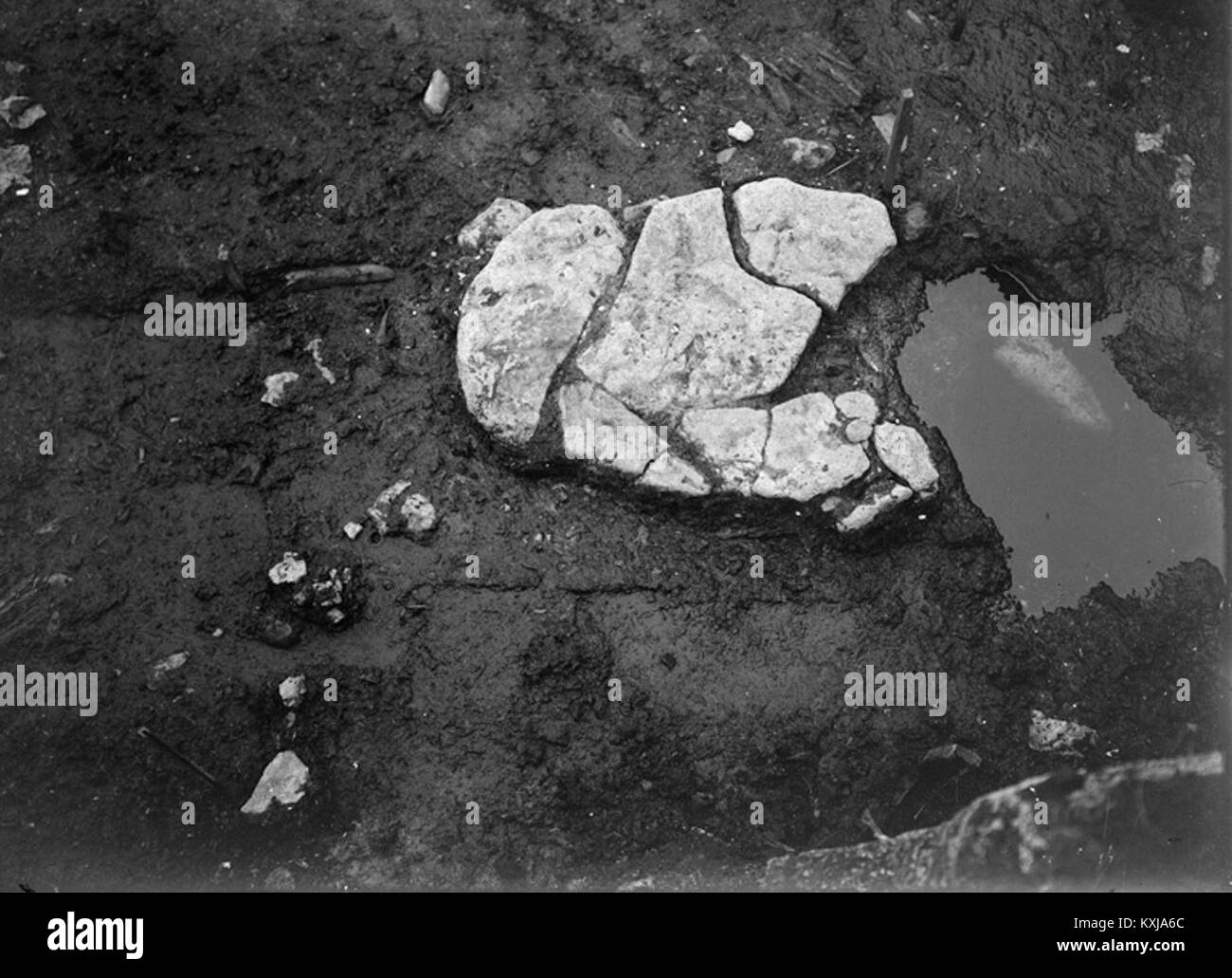 The Alvastra pile construction site in Sweden is a historically ...