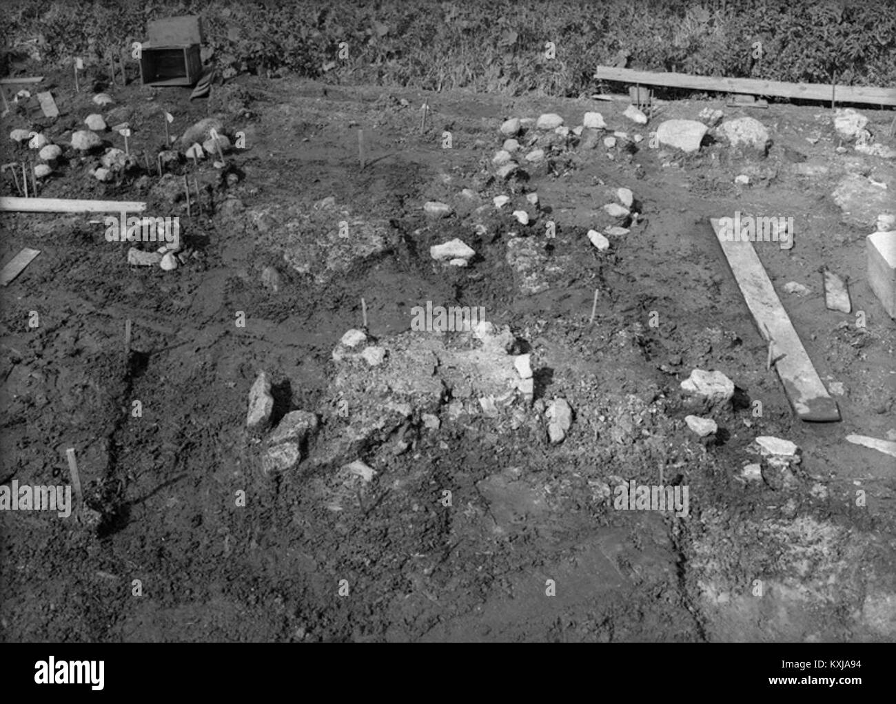 Alvastra pile construction in Sweden, a historic wooden foundation ...