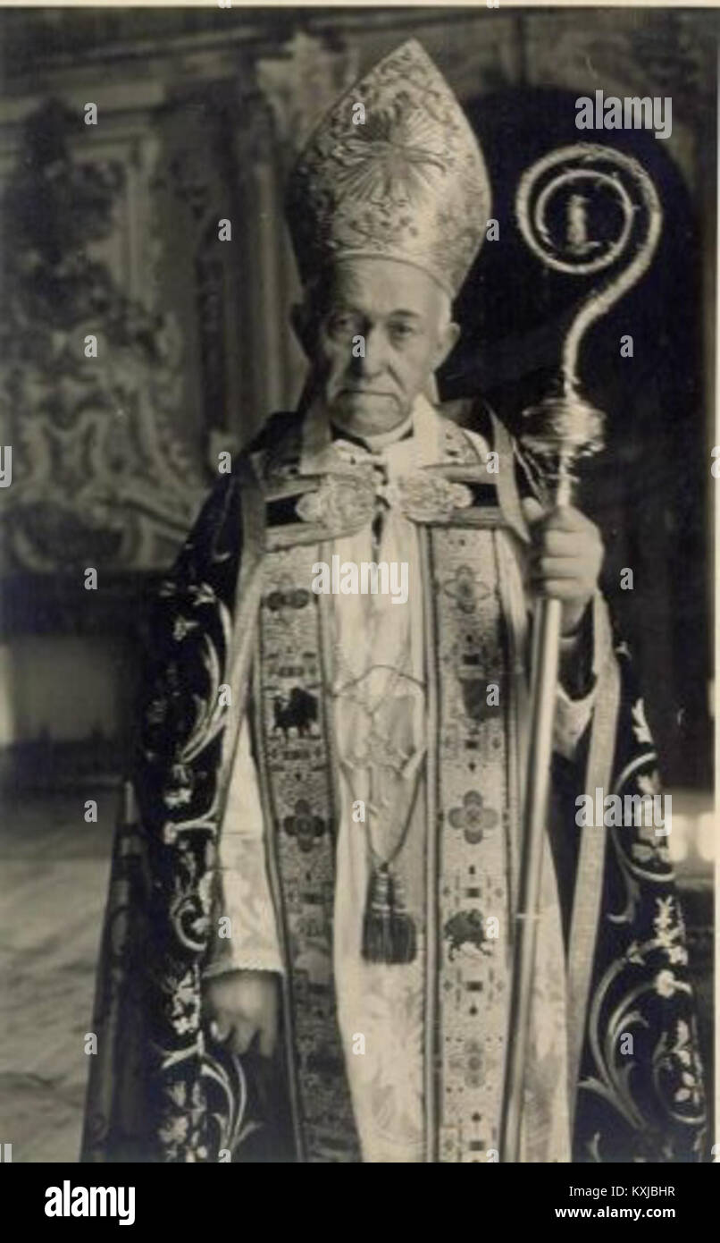 A portrait of Anton Bonaventura Jeglic, an influential figure ...