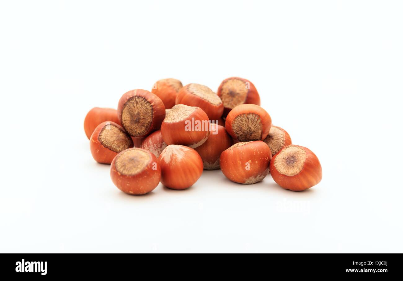 Hazelnut in shell hi-res stock photography and images - Alamy