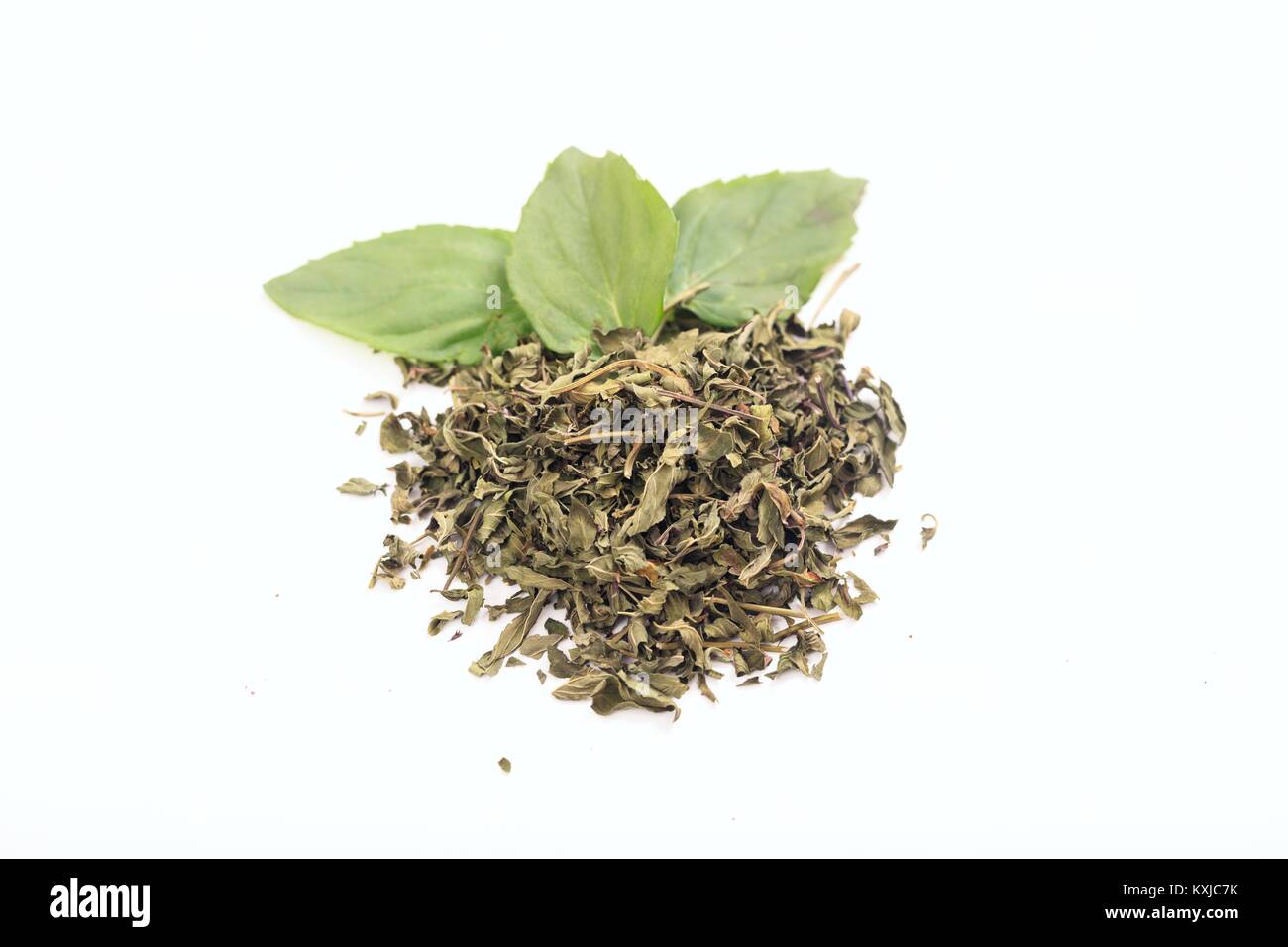 Fresh mint bunch on Cut Out Stock Images & Pictures - Alamy