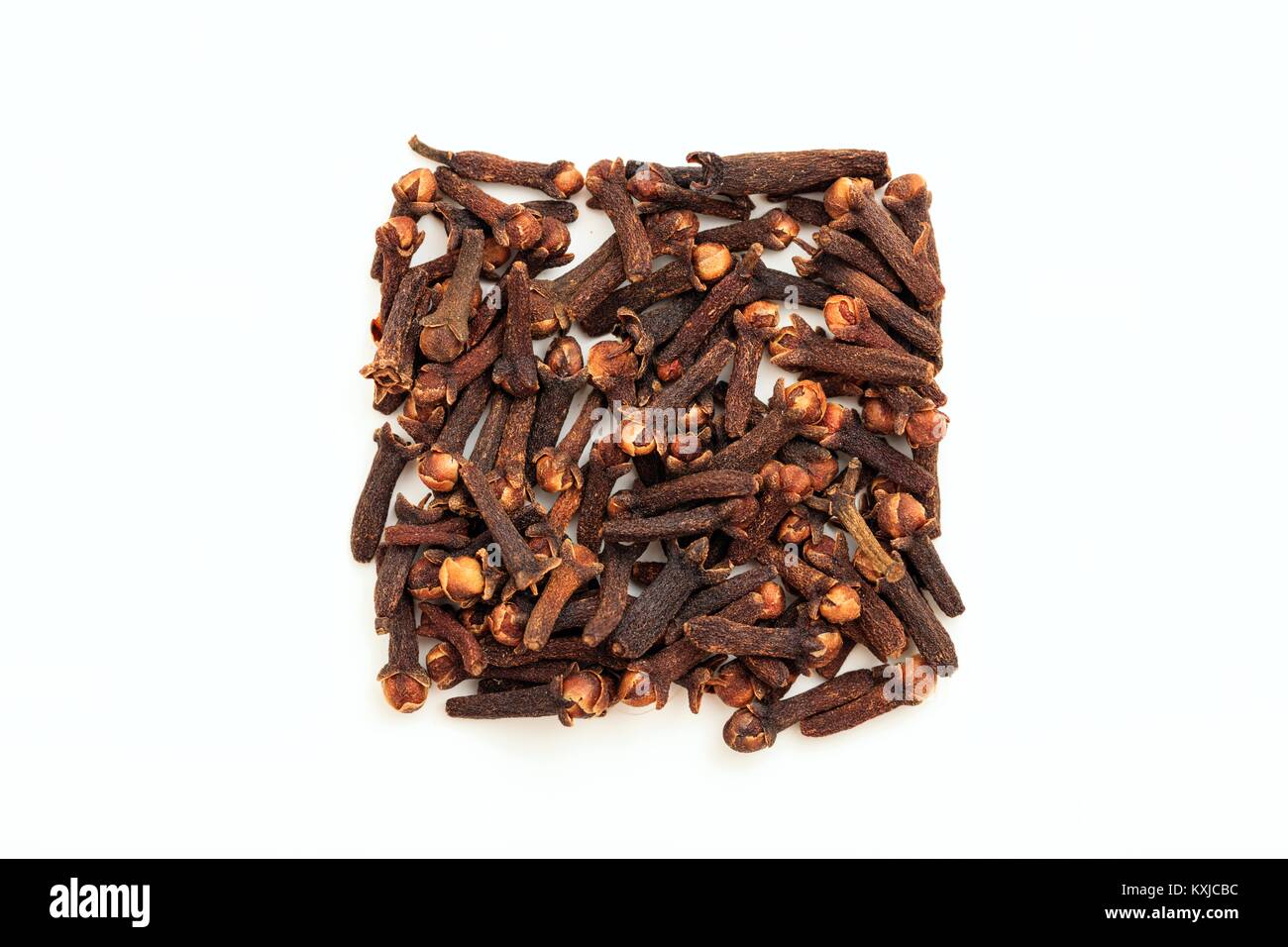 Clove seeds on white background Stock Photo - Alamy