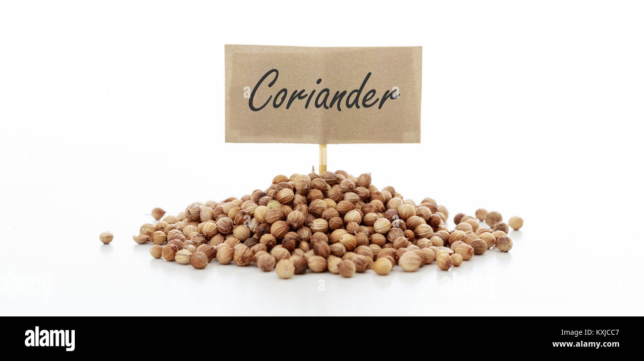 Coriander seeds on white background Stock Photo - Alamy