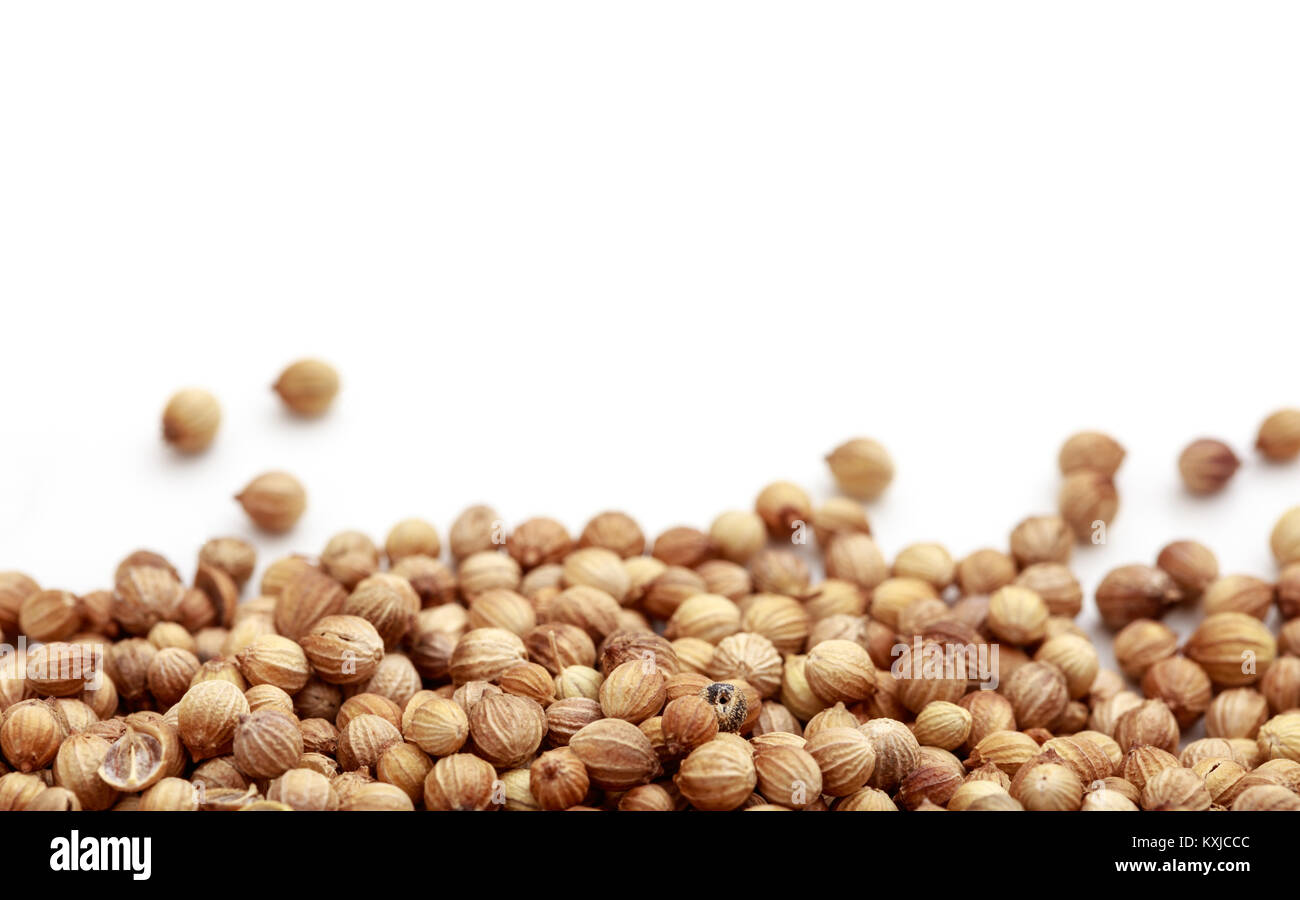 Coriander seeds on white background Stock Photo - Alamy