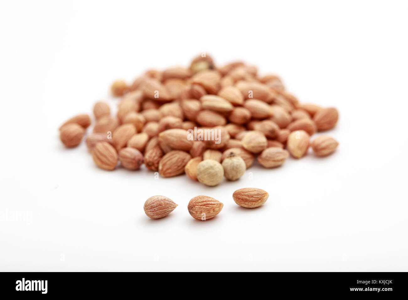 Mahlab seeds on white background Stock Photo - Alamy