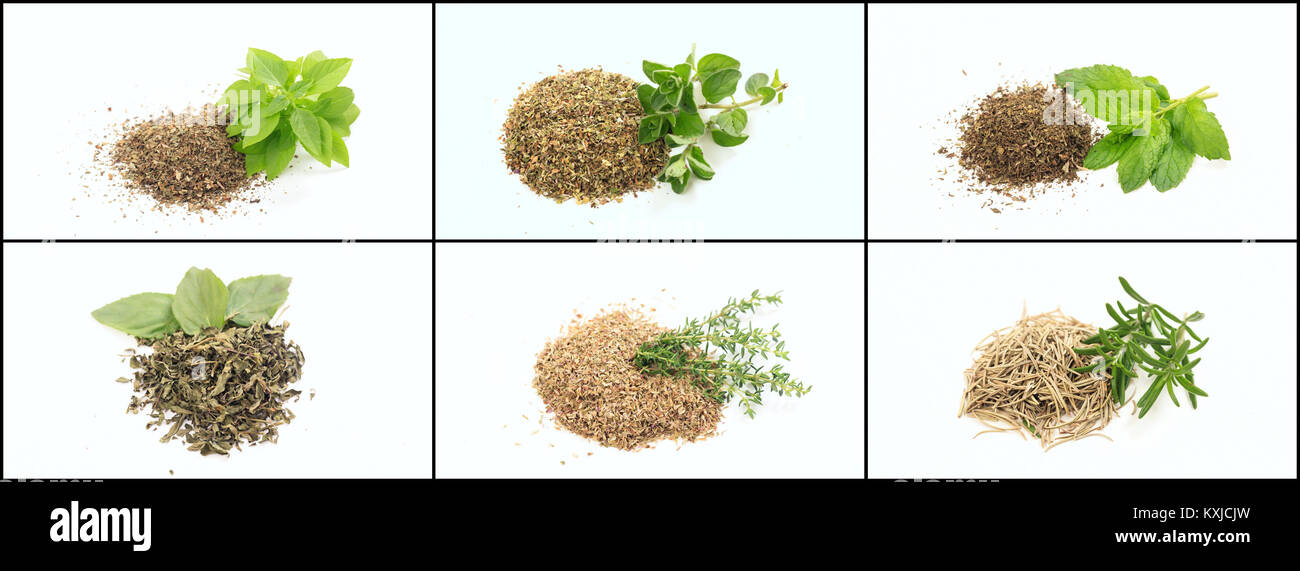 Various herbs on white background collage Stock Photo - Alamy