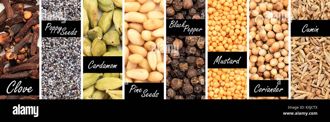 Various spice seeds collage with labels Stock Photo - Alamy