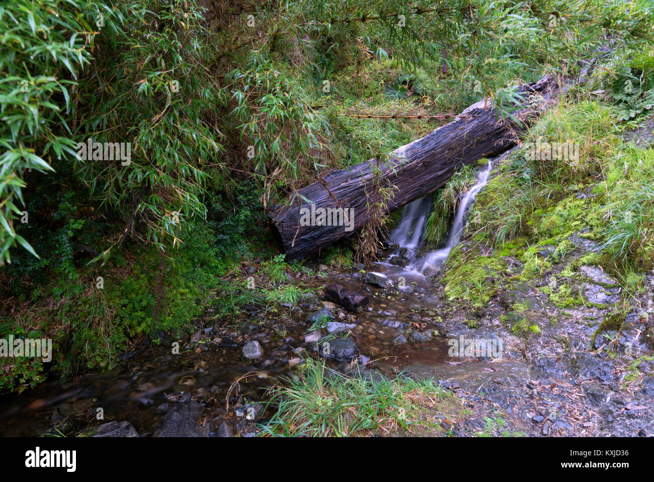 Angostura river hi-res stock photography and images - Alamy
