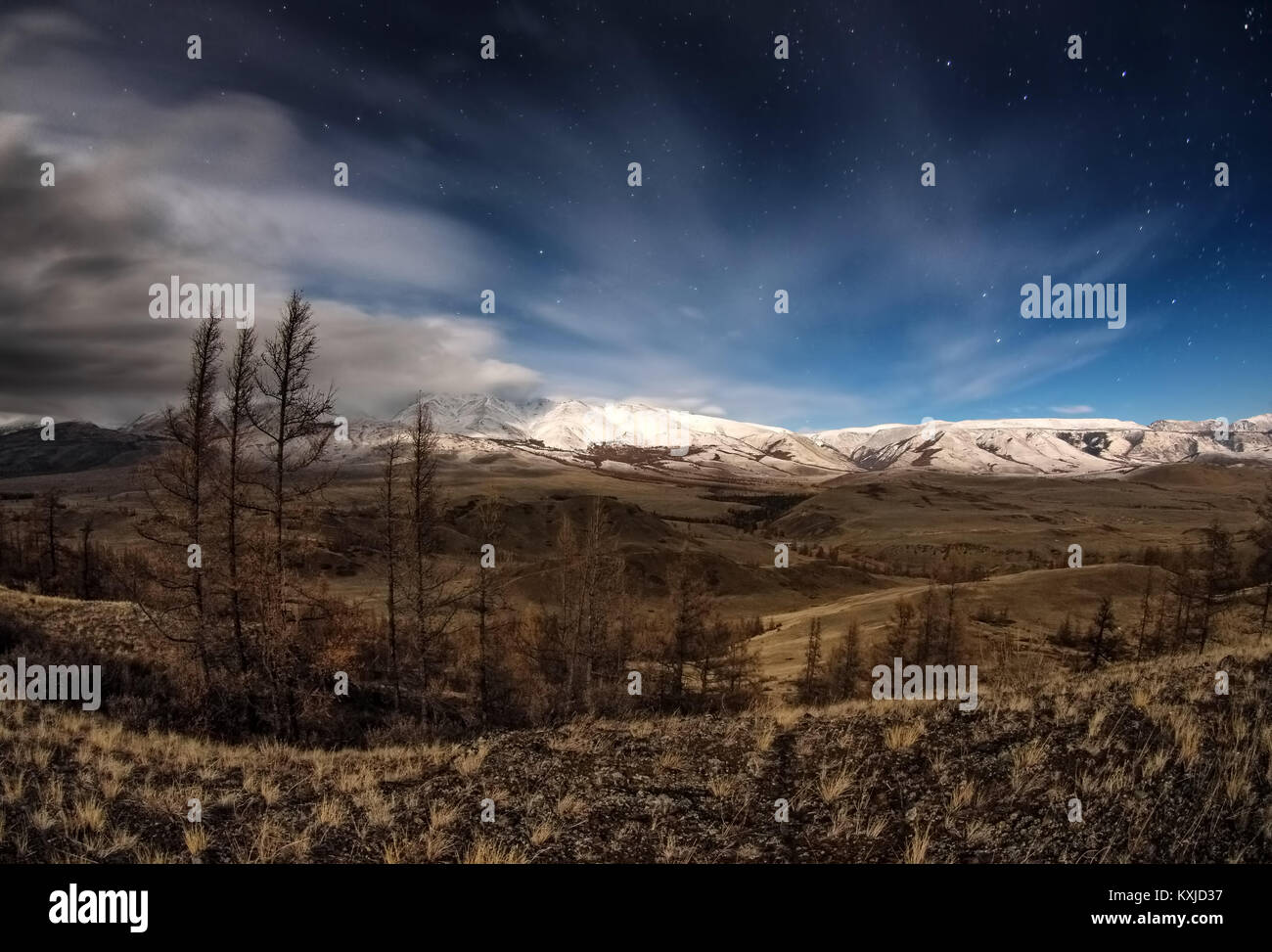 Night at desert hi-res stock photography and images - Alamy