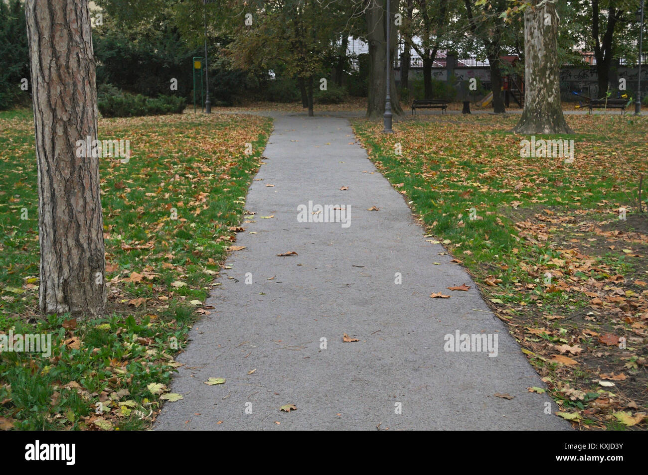 Path in park with trees hi-res stock photography and images - Alamy