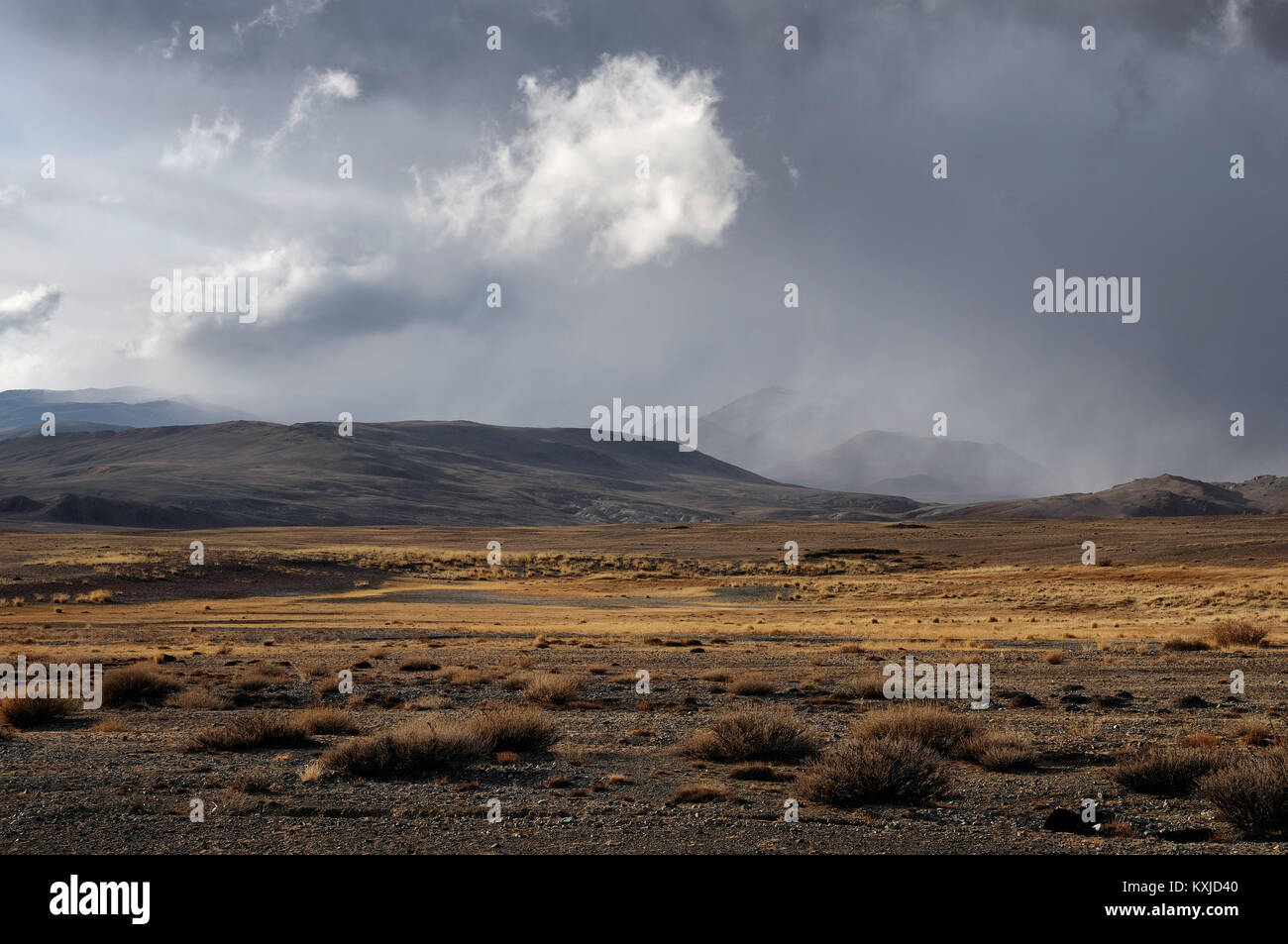 Dramatic fall dark desert steppe on a highland mountain plateau with ...