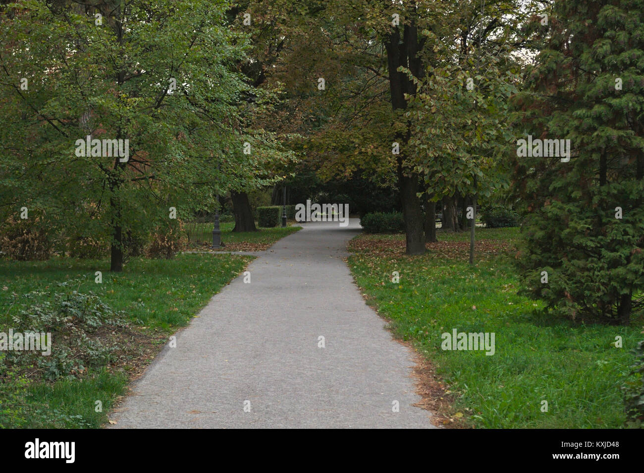 Path in park and trees around it, autumn time Stock Photo - Alamy