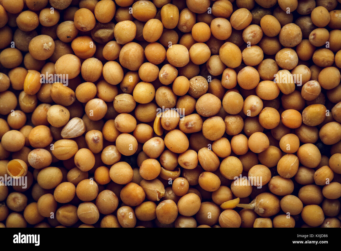 Mustard seeds macro background texture. Top view Stock Photo - Alamy