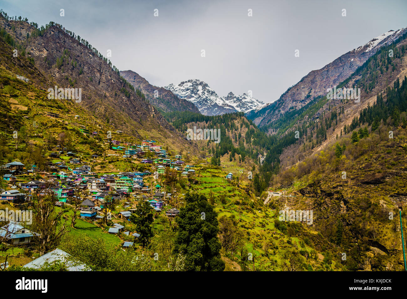 Tosh Village - Himachal Pradesh - India © Sauriêl Ltd | Samantha Scholl ...