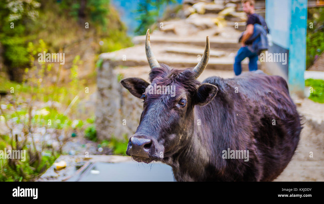 Bull hill station hi-res stock photography and images - Alamy
