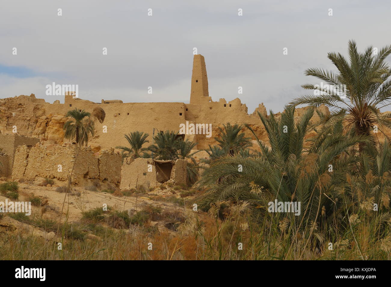 Temple of the Oracle of Amun in Siwa Oasis in western desert Stock ...