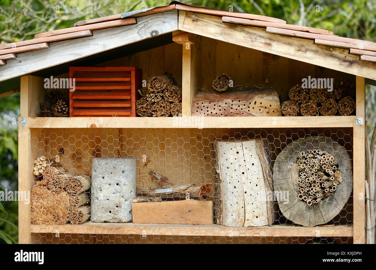 Insect hotel house for wild bees and wasps. bamboo sticks Stock Photo ...