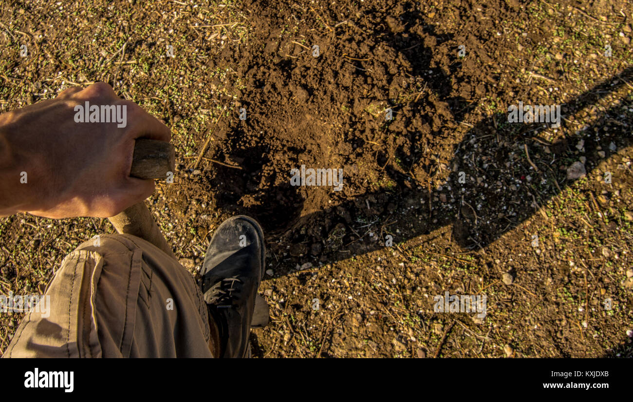 Digging a hole with shovel and black boots in a rural village. Man's ...