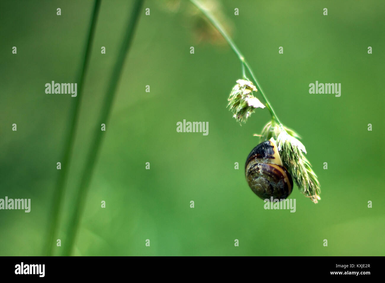 Falling edge hi-res stock photography and images - Alamy