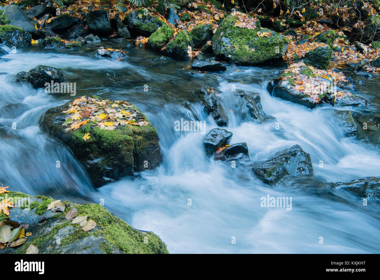 Moving over rocky river hi-res stock photography and images - Alamy