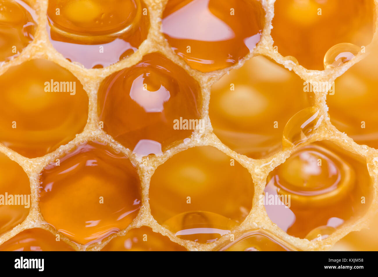 Extreme macro shot of a honey filled honeycomb Stock Photo - Alamy