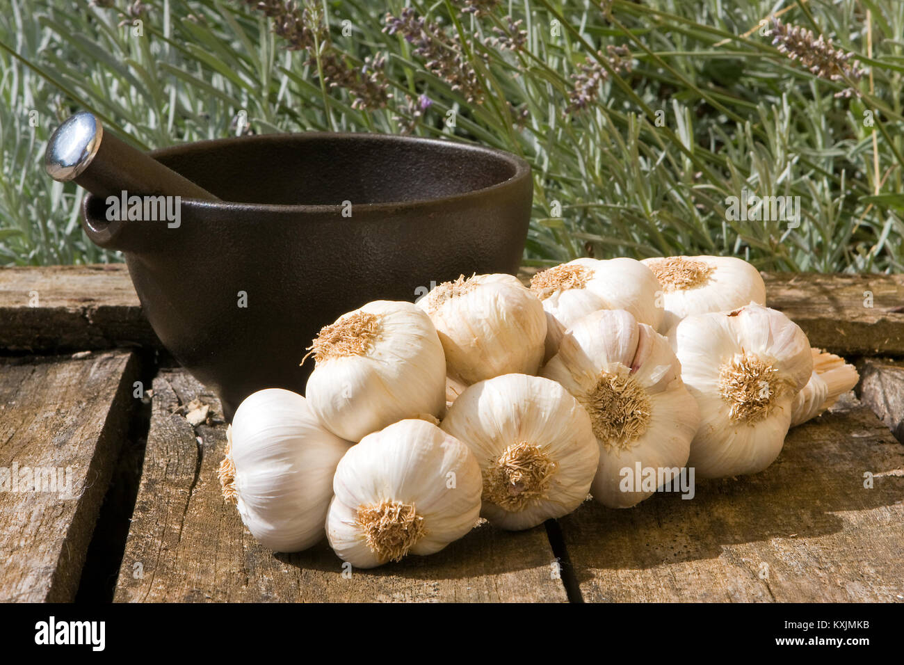 Pestle, mortar and garlic in a rustic still-life Stock Photo - Alamy