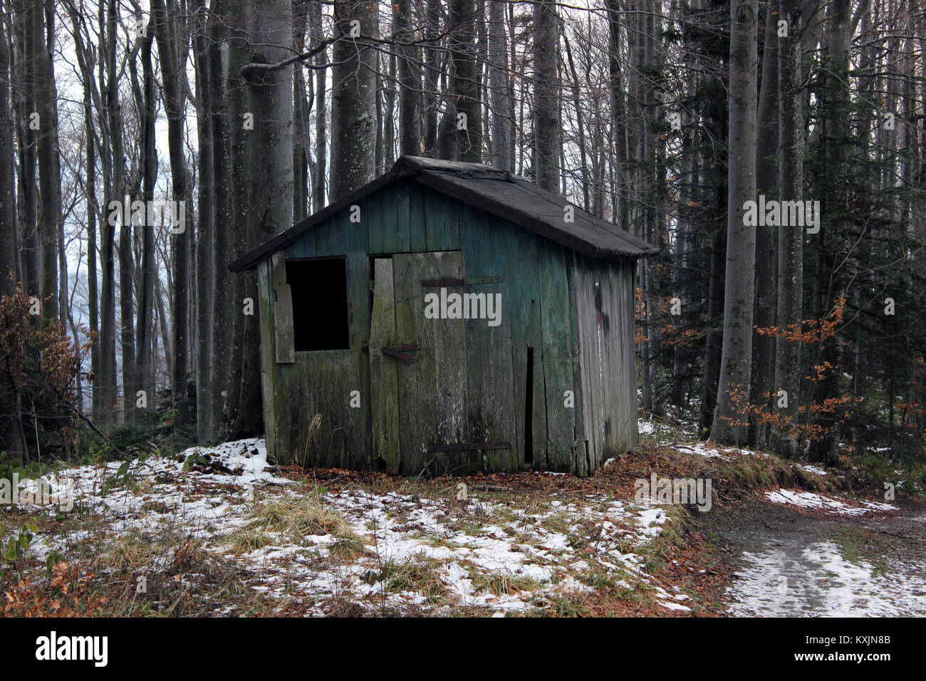 Creepy house woods hi-res stock photography and images - Alamy