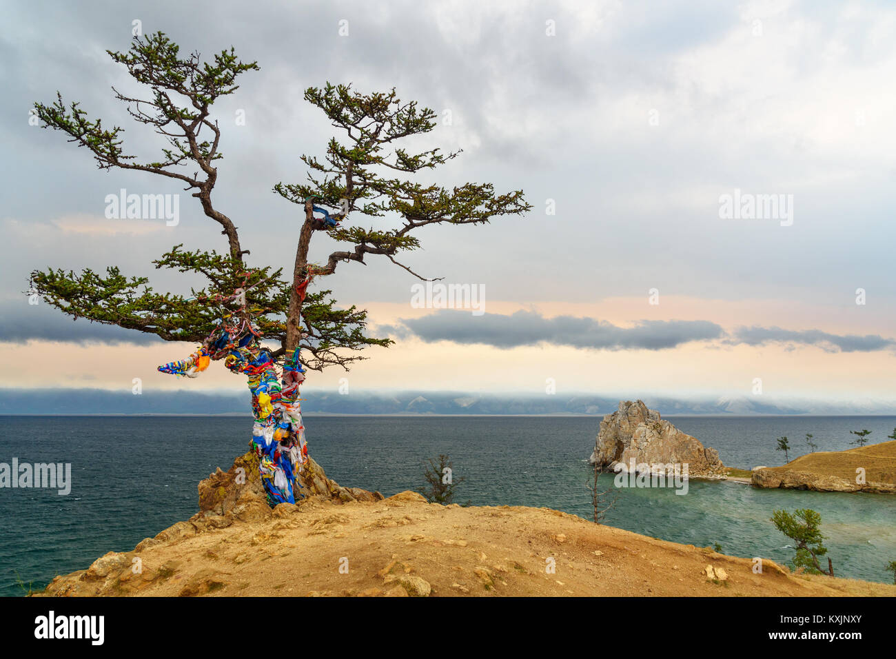 Ritual tree with colorful ribbons Hadak in the overcast. Lake Baikal ...