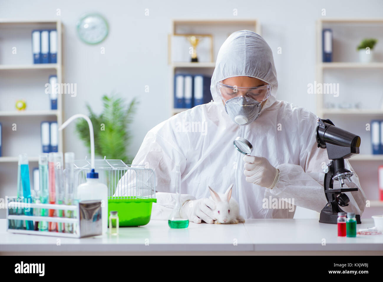 Scientist doing animal experiment in lab with rabbit Stock Photo - Alamy
