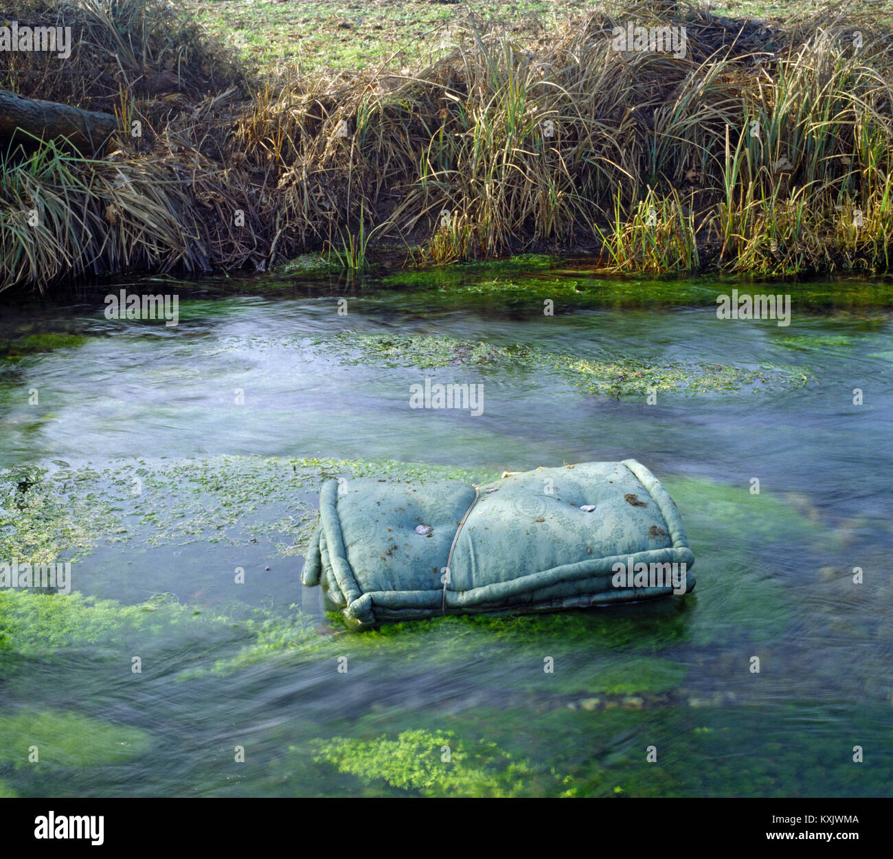 Pollution water pollution careless environment hi-res stock photography ...