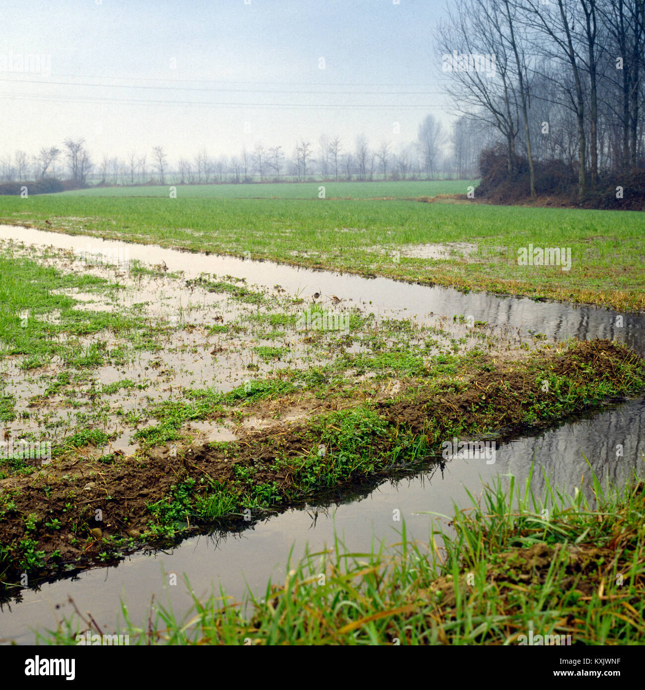 Marcita hi-res stock photography and images - Alamy