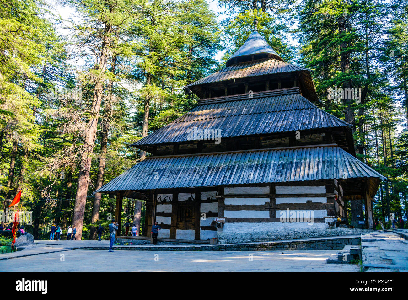 India himachal pradesh manali yak hi-res stock photography and images ...