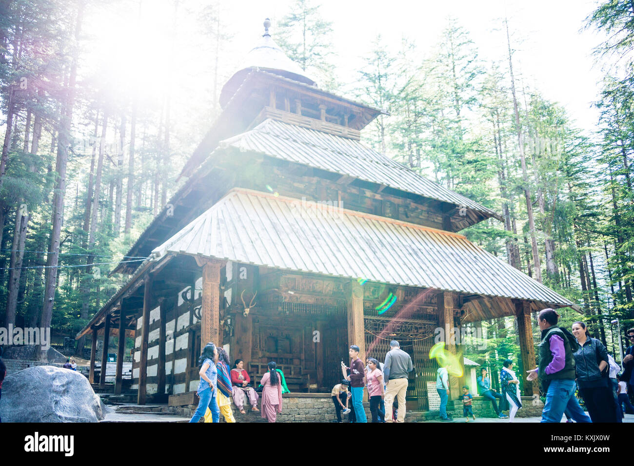 India himachal pradesh manali yak hi-res stock photography and images ...