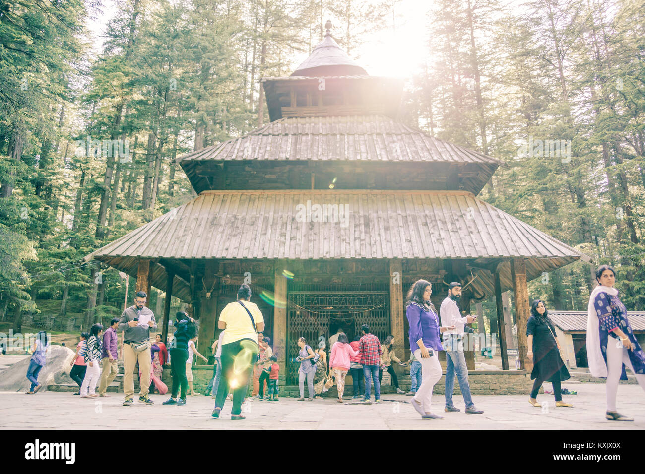 India himachal pradesh manali yak hi-res stock photography and images ...