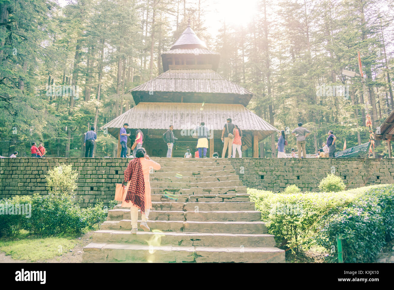 India himachal pradesh manali yak hi-res stock photography and images ...