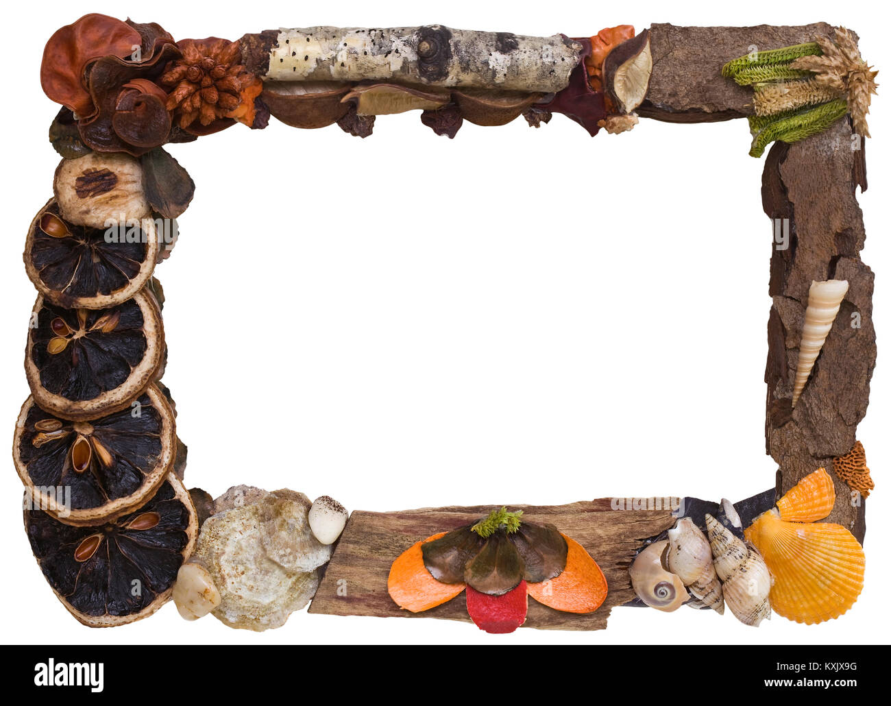 Dry Organic Picture Frame Border Cutout Stock Photo - Alamy