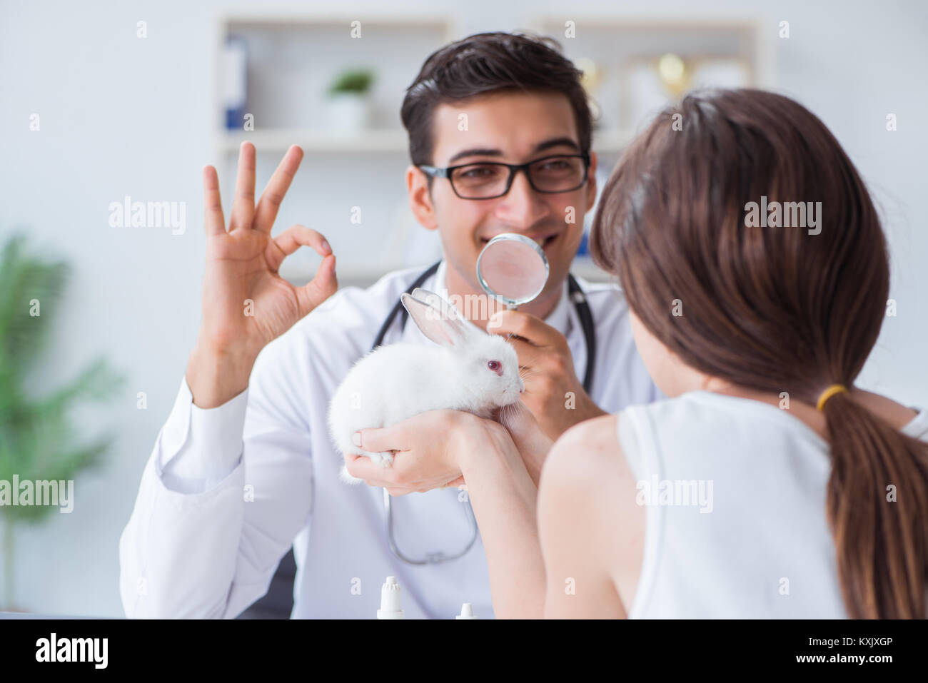 Woman with pet rabbit visiting vet doctor Stock Photo - Alamy