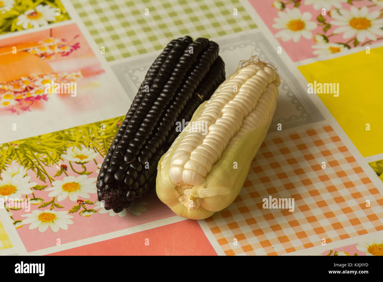 Contrasting varieties of corn from Peru: purple corn for making popular ...