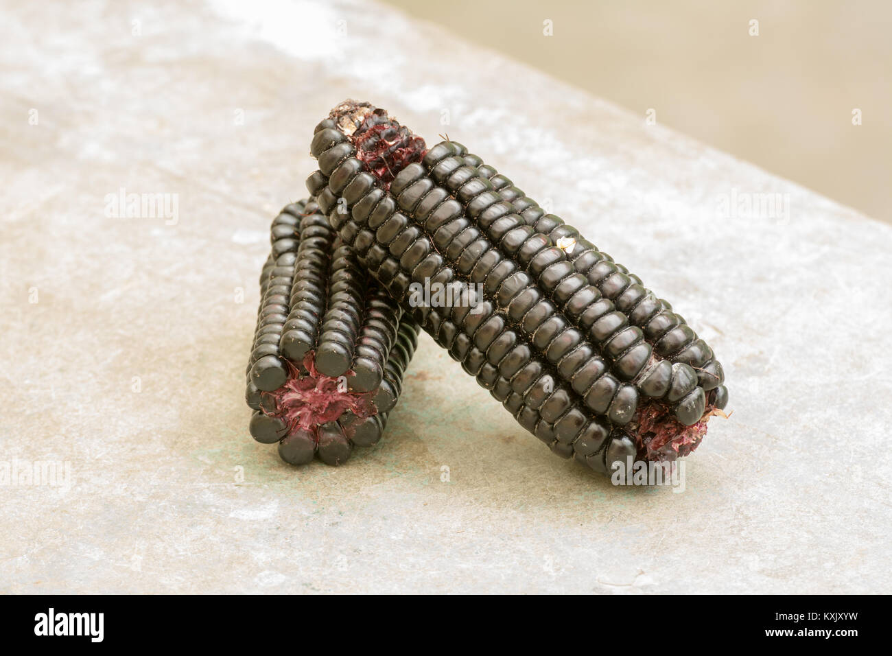 A cob of purple corn from Peru commonly used to make the soft drink ...