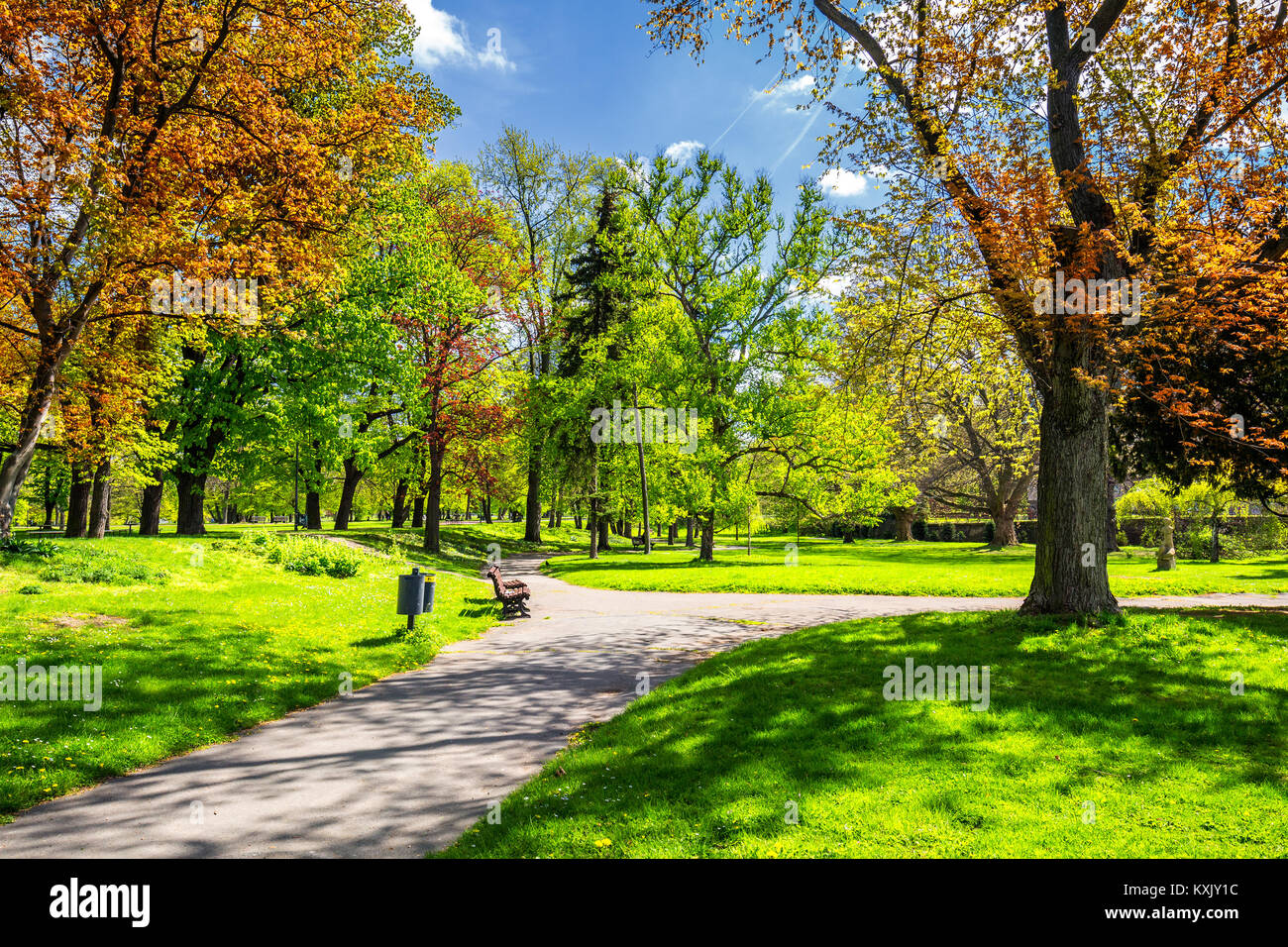 Magical autumn park with path and fantastic glow, fairytale landscape ...