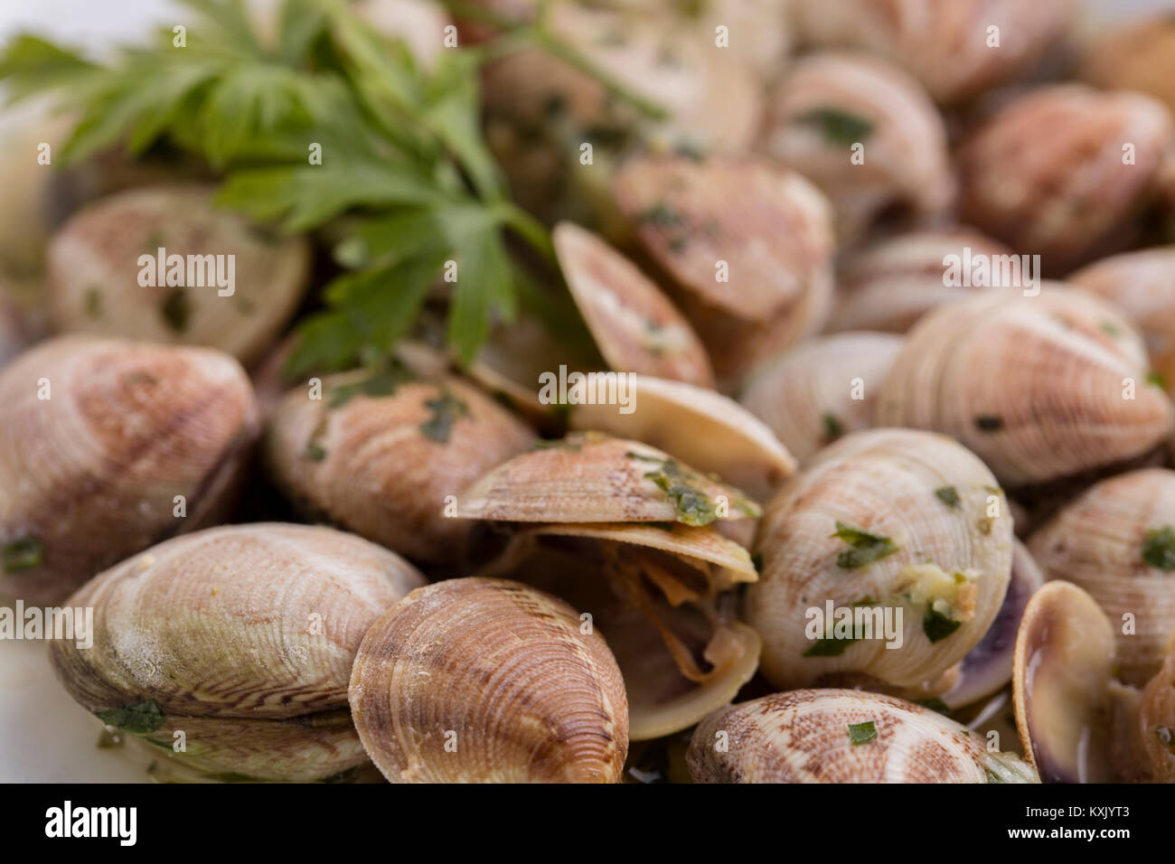 clams in very old plate with green parsley Stock Photo - Alamy