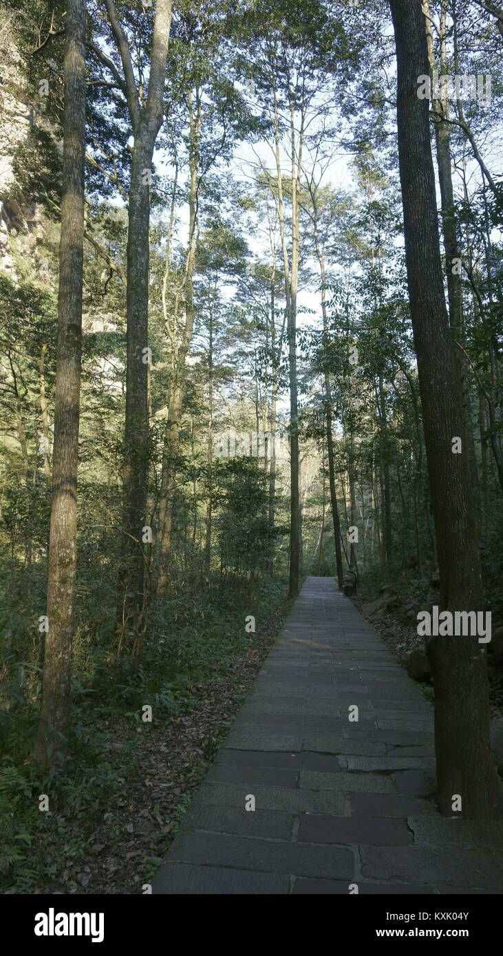 a path leading to a garden Stock Photo - Alamy