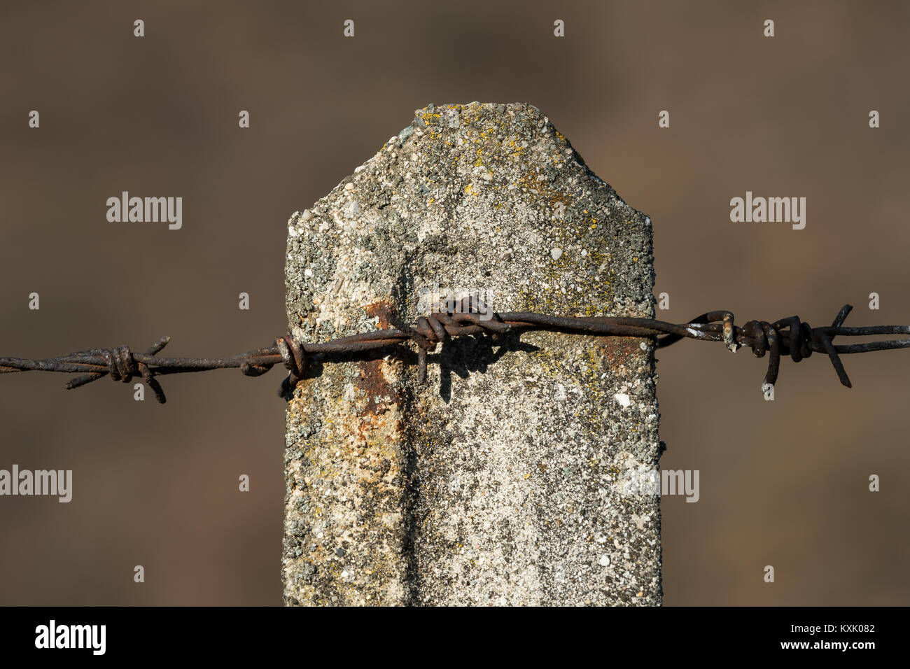 Concrete fence post barbed wire hi-res stock photography and images - Alamy